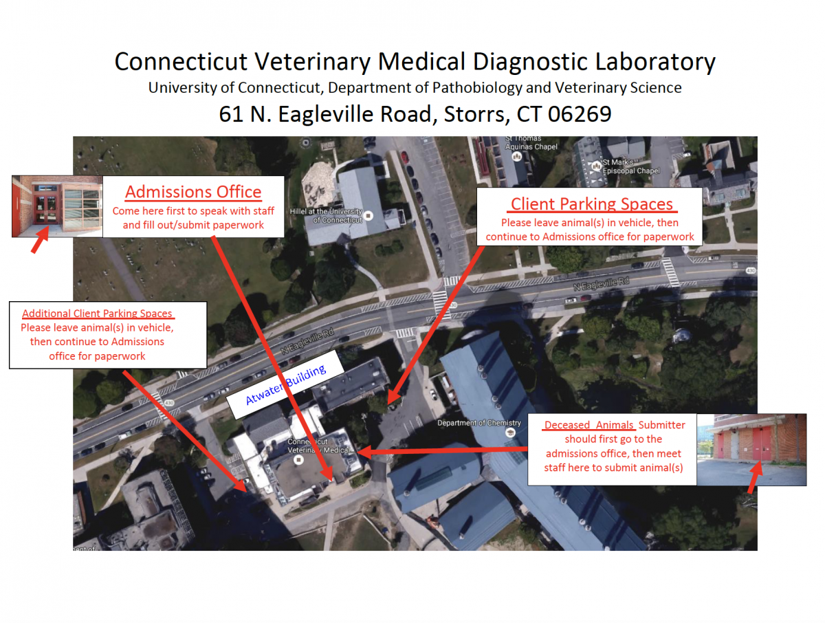 Directions/Location | Connecticut Veterinary Medical Diagnostic Laboratory